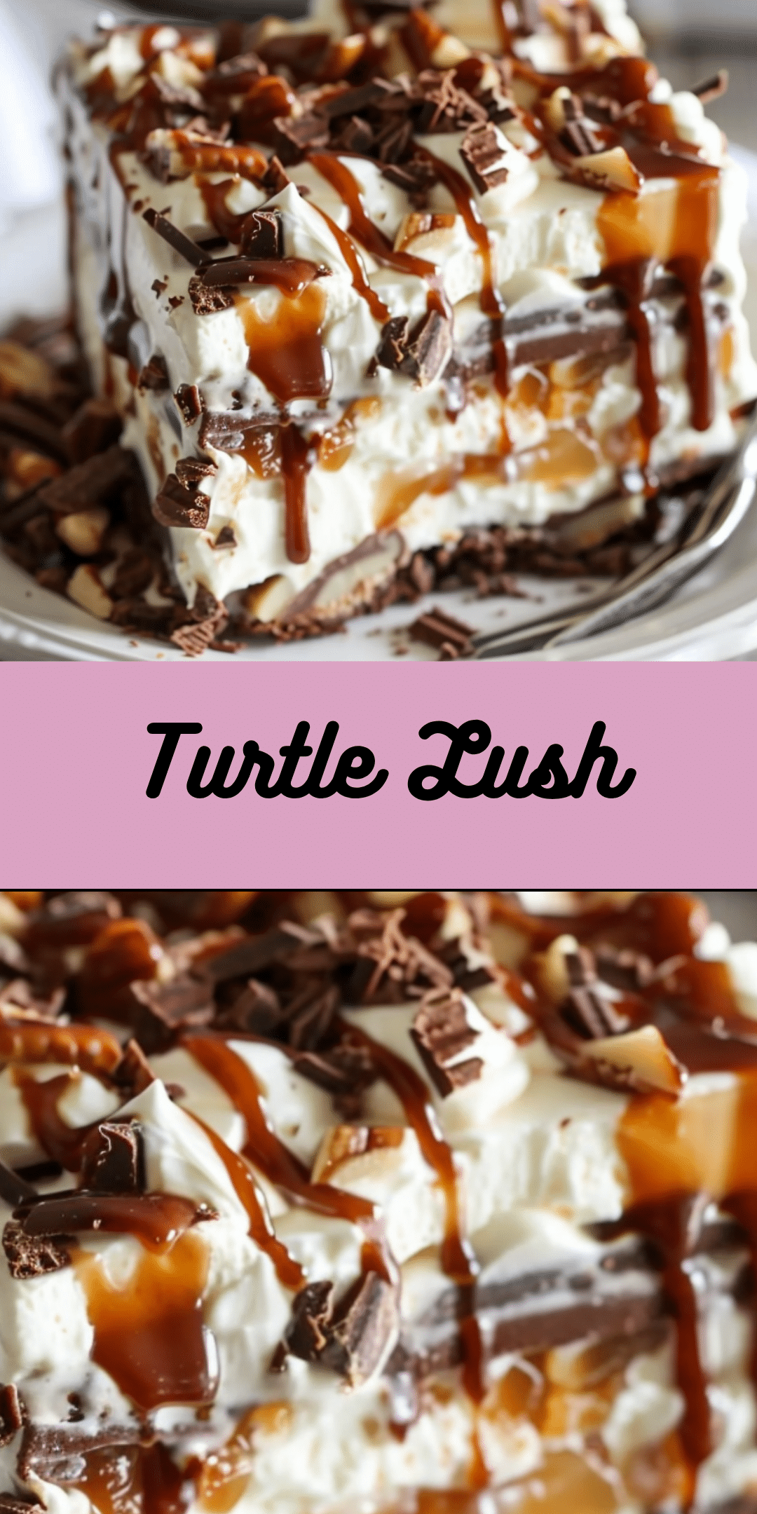 Turtle Lush - Cooking With Blog